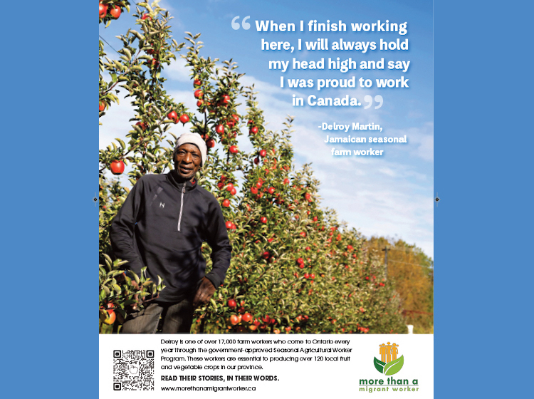 More than a Migrant Worker campaign launches for 2023 | The Grower